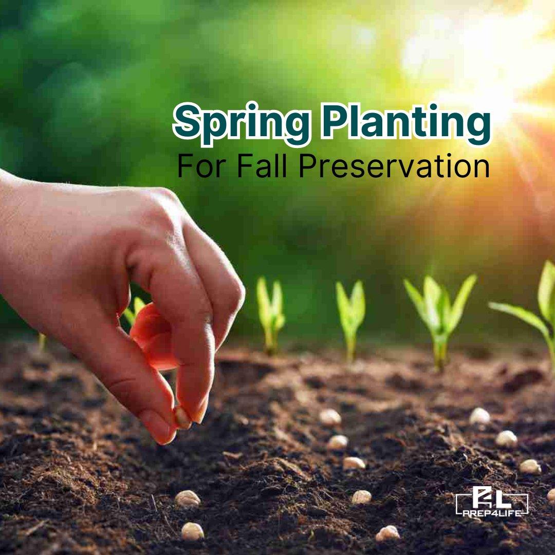 Spring Planting for Fall Preservation